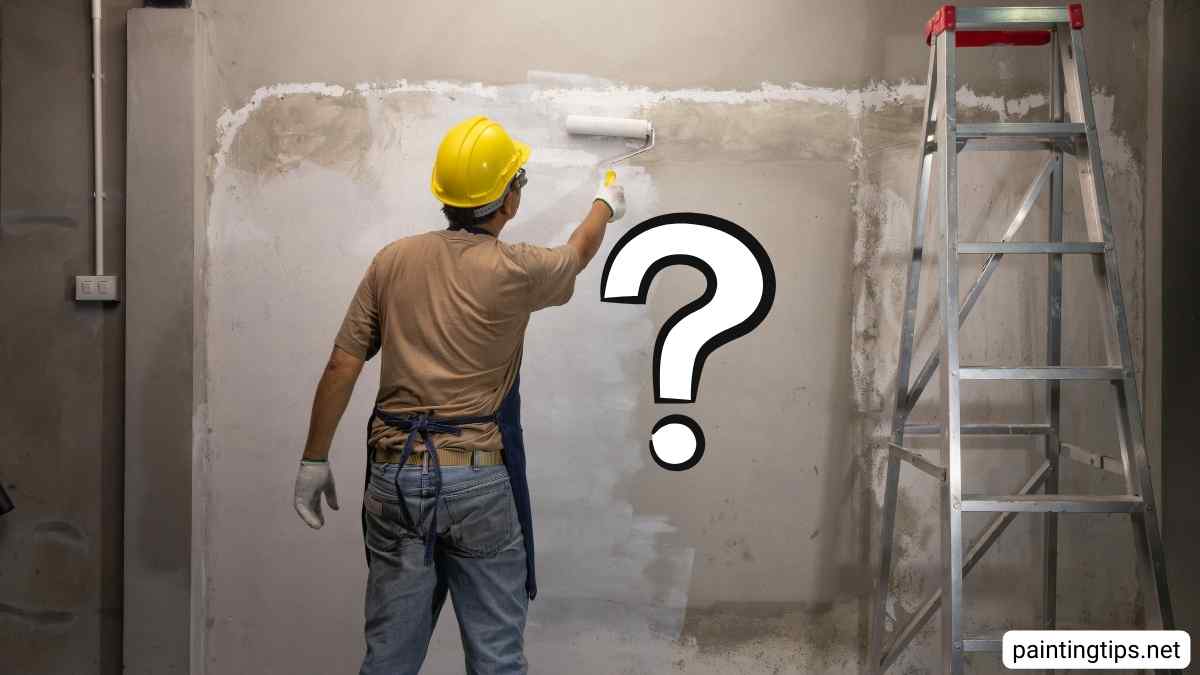 Do You Need to Primer Before Painting? Expert Tips - Painting Tips