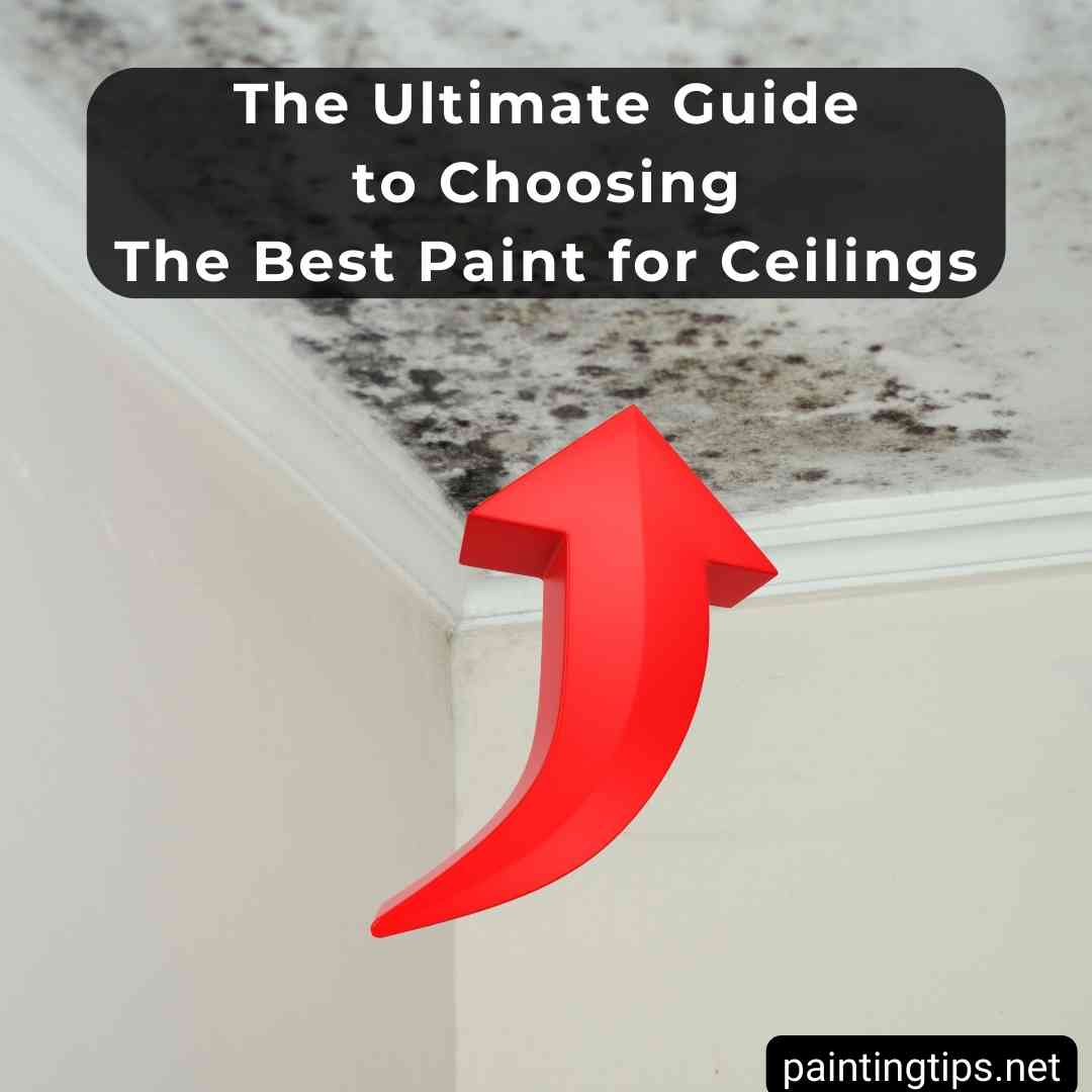 Best Ceiling Paints: How to Choose the Right One - Painting Tips