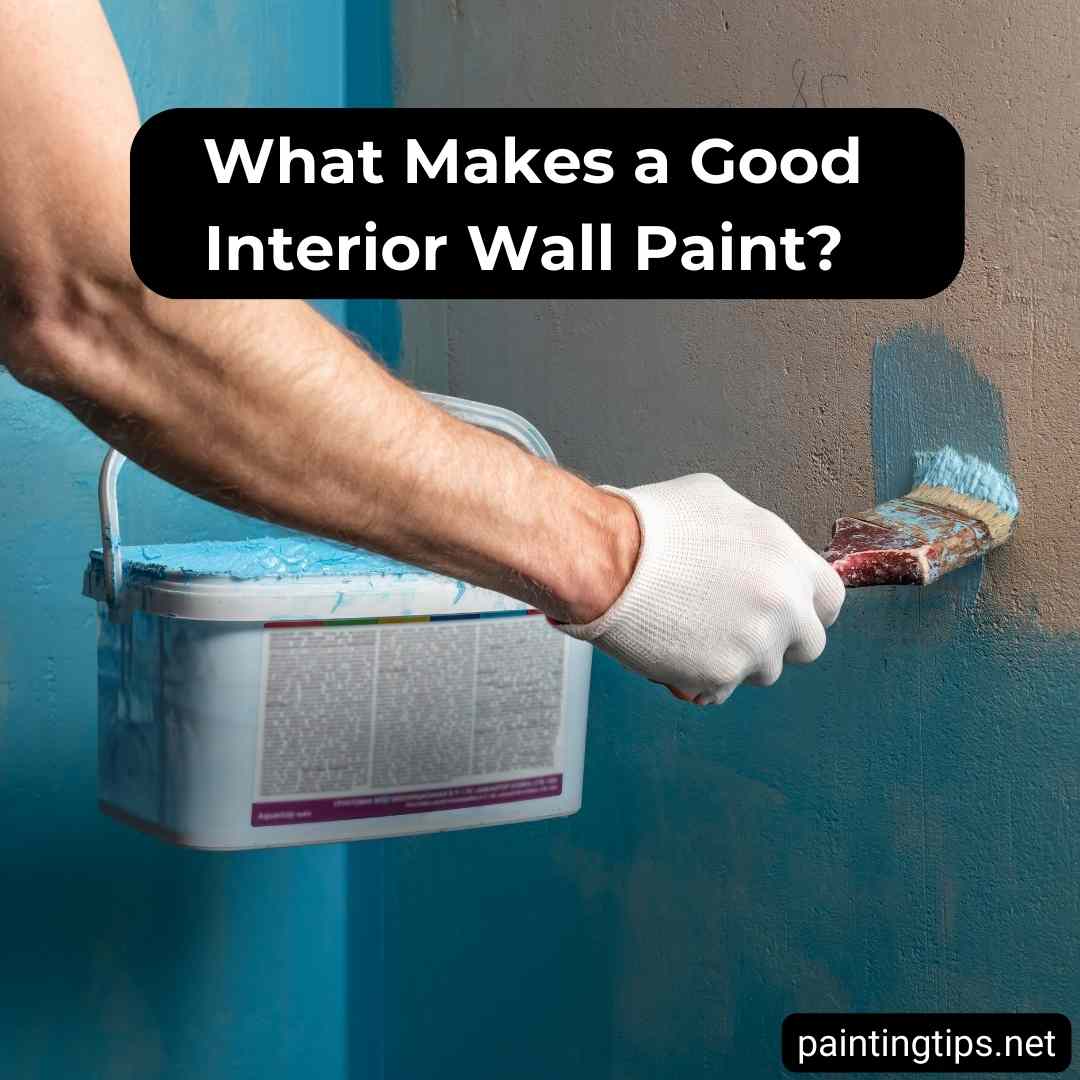 Which Paint Is Best for Interior Walls: 10 Buying Tips - Painting Tips