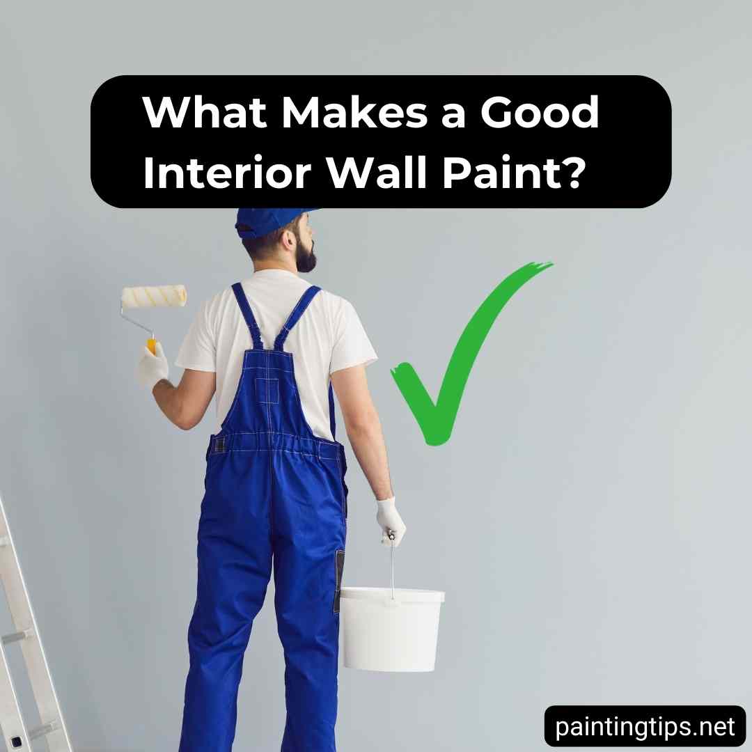 Which Paint Is Best for Interior Walls: 10 Buying Tips - Painting Tips