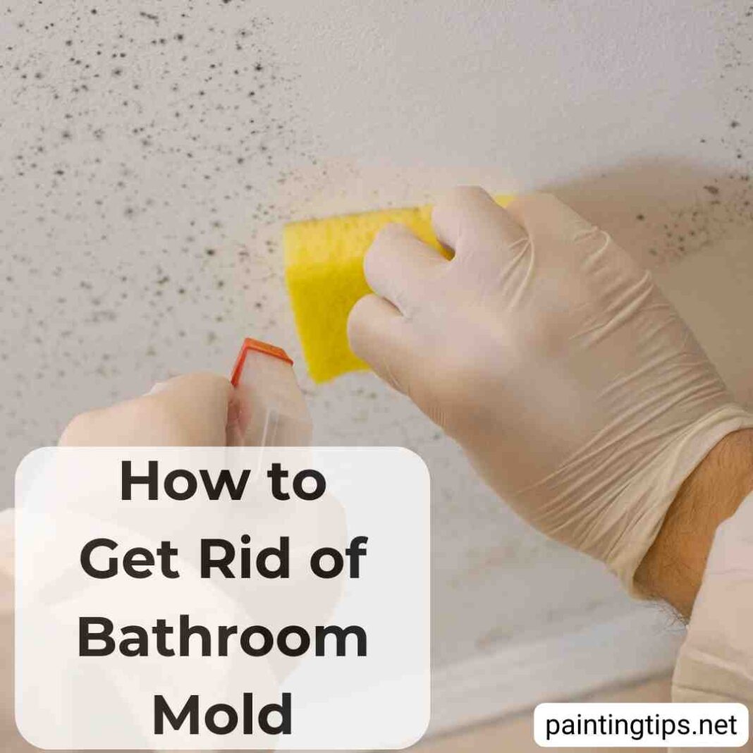 6 Easy Ways to Remove Bathroom Mold - Painting Tips