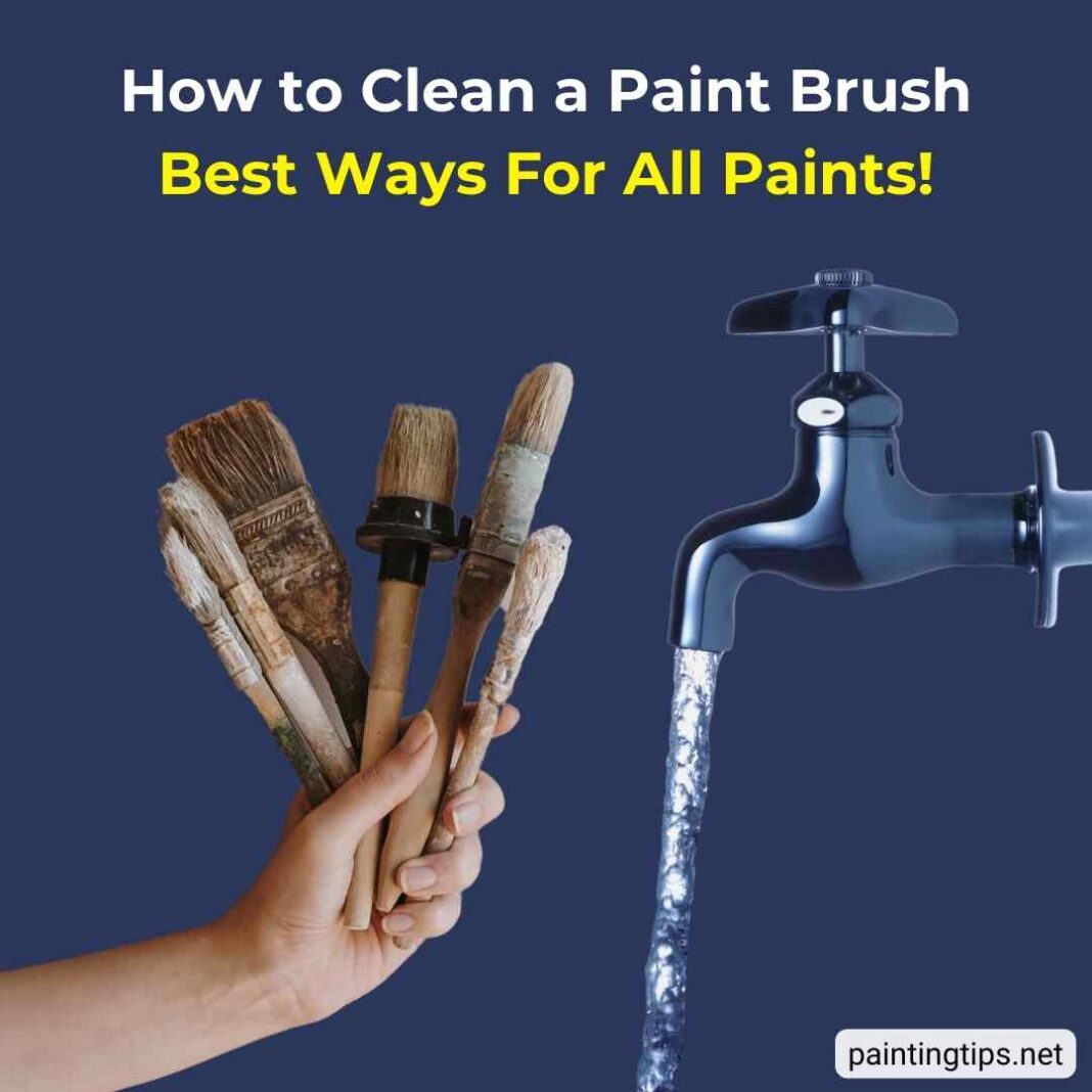 How to Clean a Paintbrush: Best Methods for Any Paint - Painting Tips